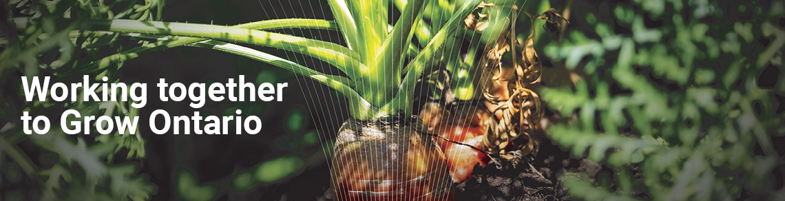 Ontario Agri-Food Innovation Alliance